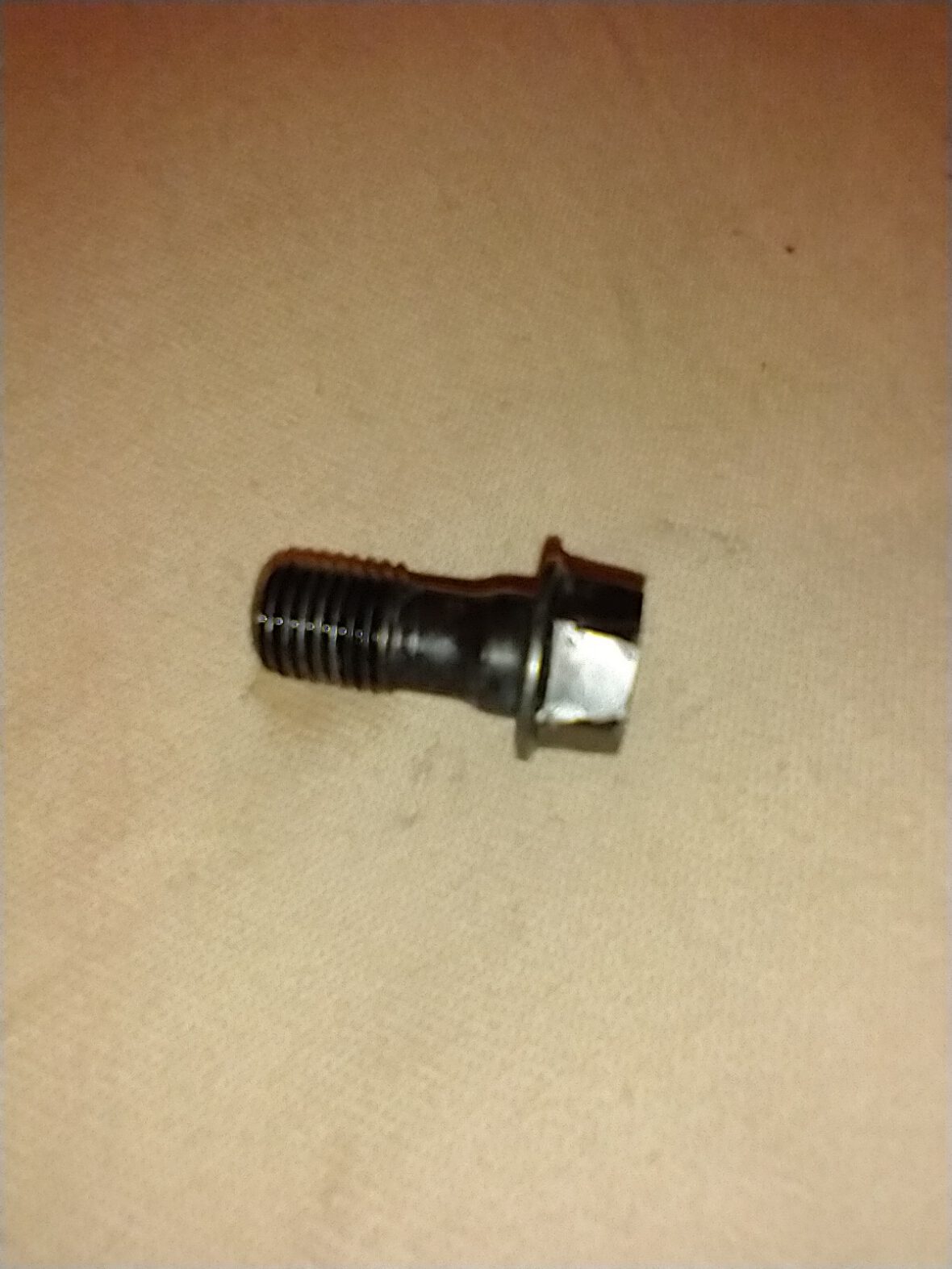 (22) - Front Brake Master Cylinder Oil Bolt (10×22) - Cambria ATV