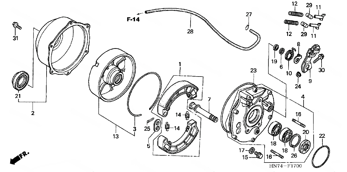 Honda TRX400FA Rear Brake Panel - Cambria ATV